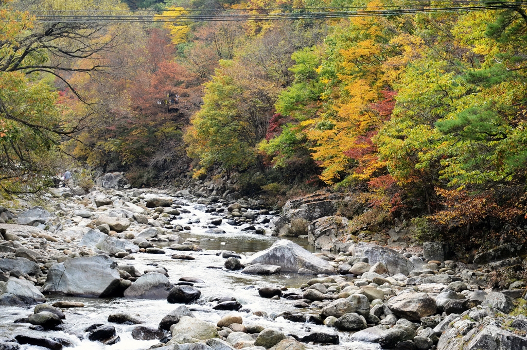 지리산 단풍 26일께 절정…'뱀사골 단풍축제' 19일 개막 | 연합뉴스