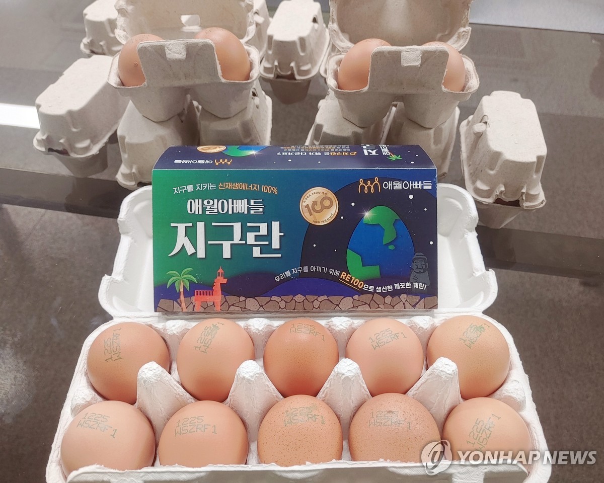 제주, RE100 계란 이어 그린우유 추진…재생에너지 농장 확대 | 연합뉴스