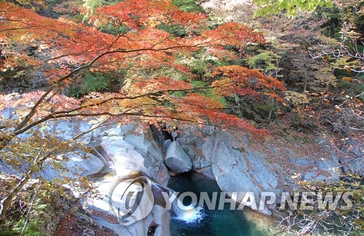 지리산 단풍 절정 5~20일…저지대는 11월 초순까지 | 연합뉴스