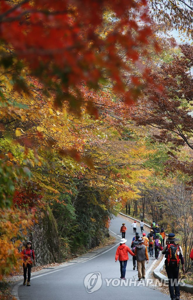 가을 지리산의 백미 '피아골 단풍축제' | 연합뉴스
