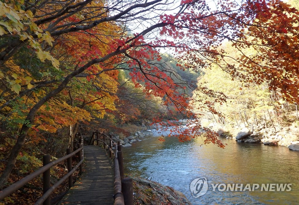 지리산 단풍 20~25일 절정…저지대는 내달 1일까지 적기 | 연합뉴스